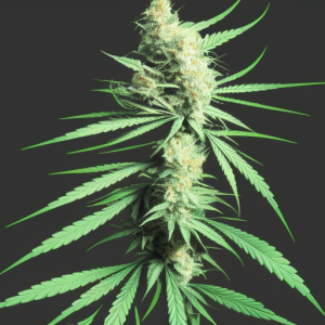 Top 5 Heat-Proof Strains to Grow in Hot AF Areas - Roscommon Acres